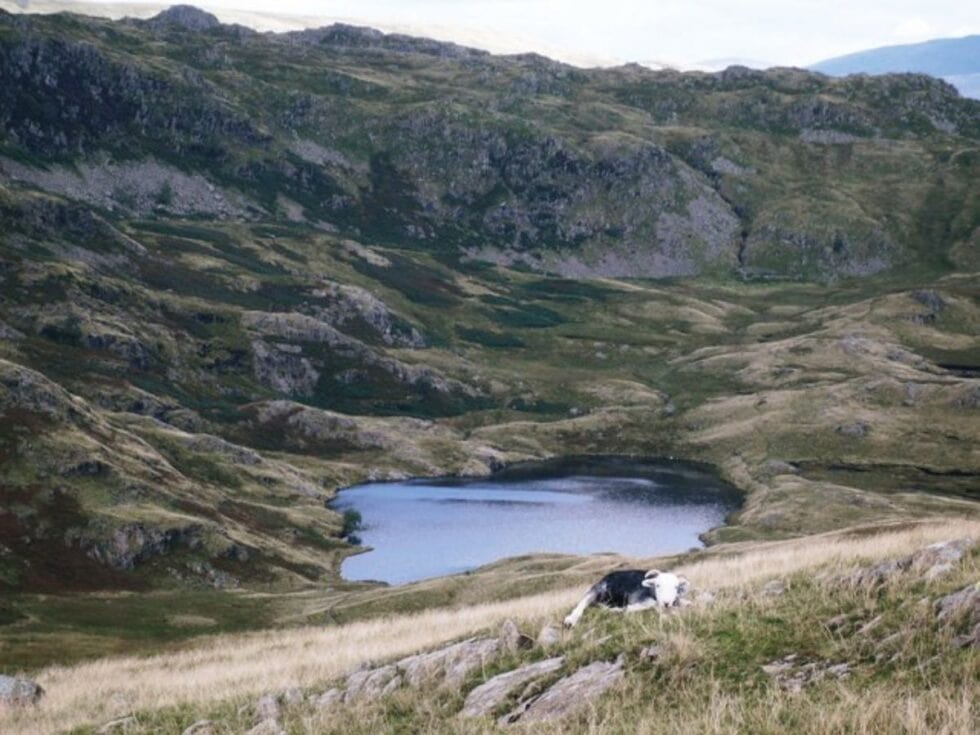 Top 10 Spots for Wild Camping Lake District